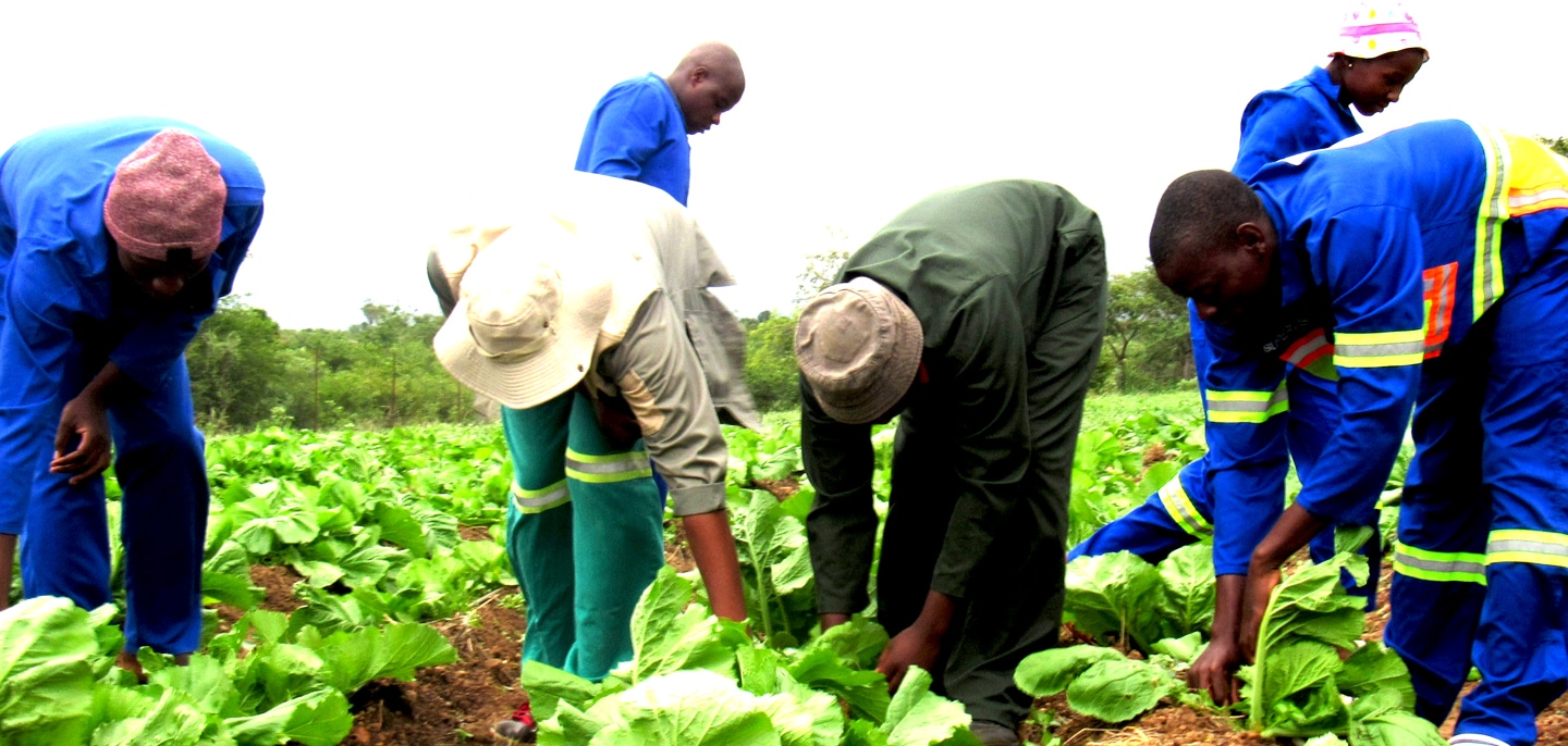 Agricultural Learnerships 2025 - Studentportals